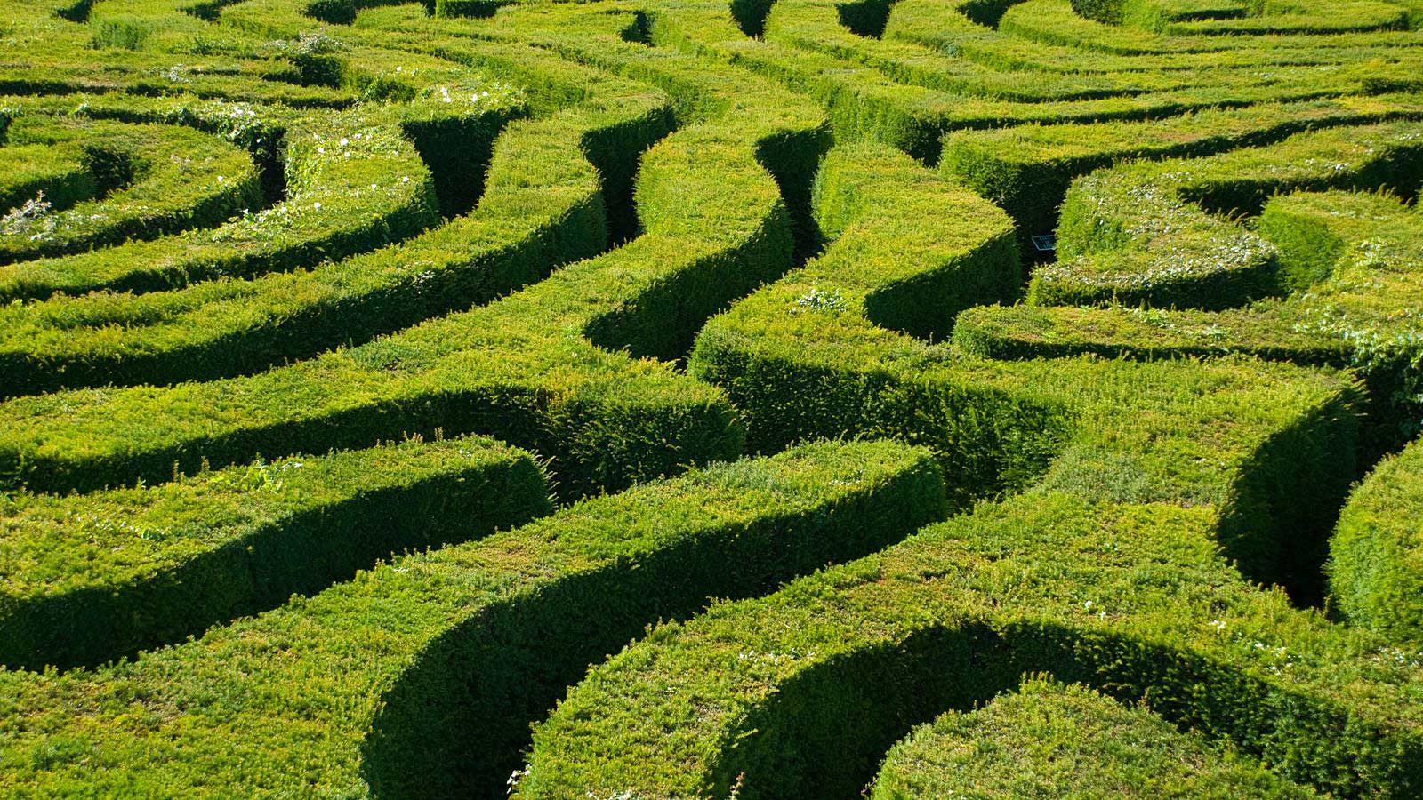 In search of the ultimate inflation hedge | The Inside Adviser